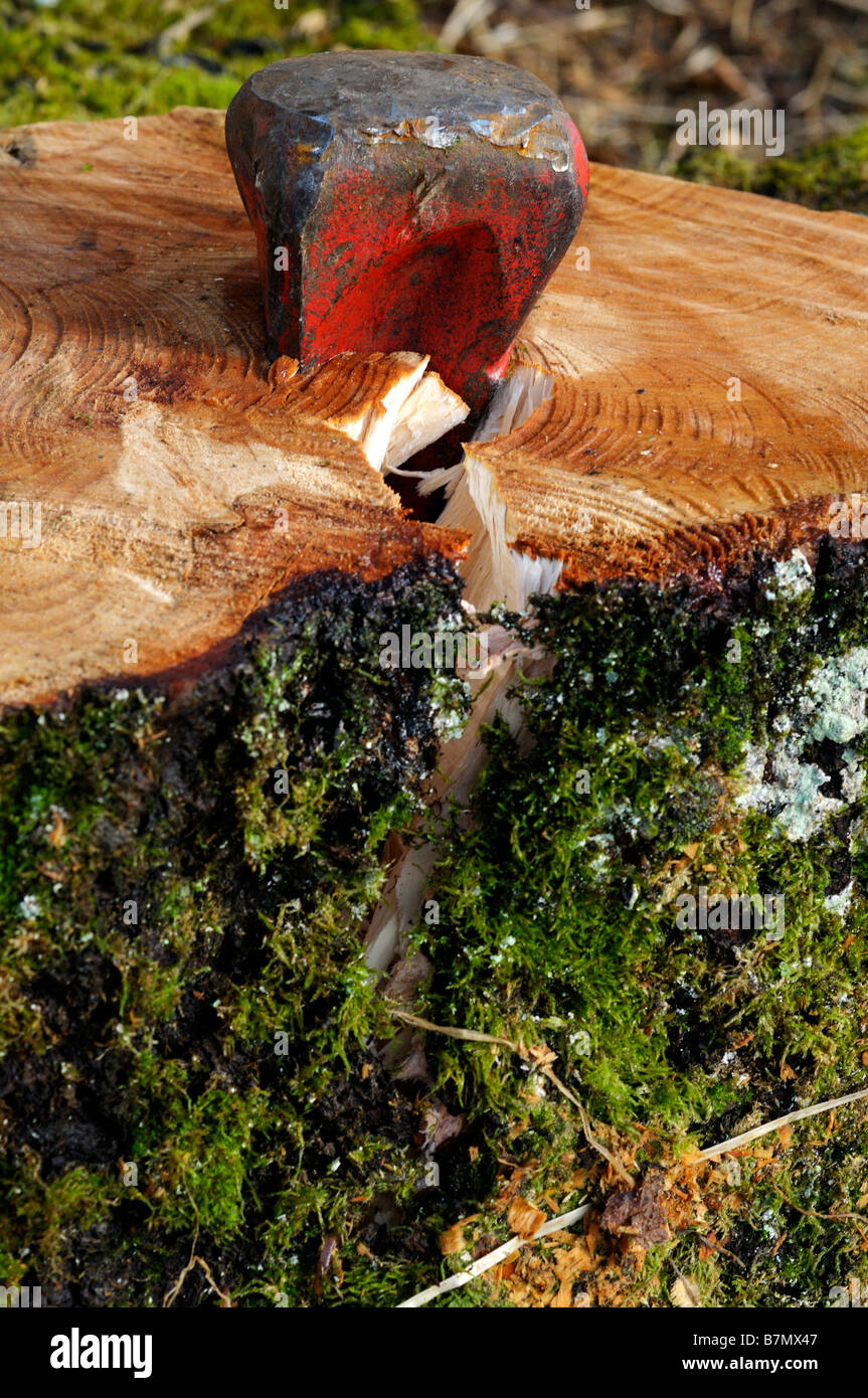 Gespaltener stock -Fotos und -Bildmaterial in hoher Auflösung – Alamy