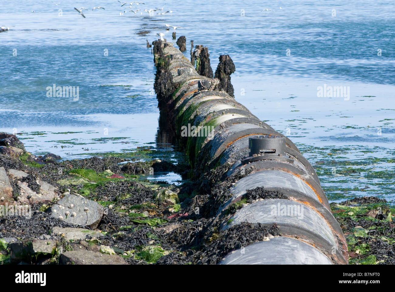 Rohabwasser Outfall Rohr ins Meer und glatt auf dem Wasser durch ...
