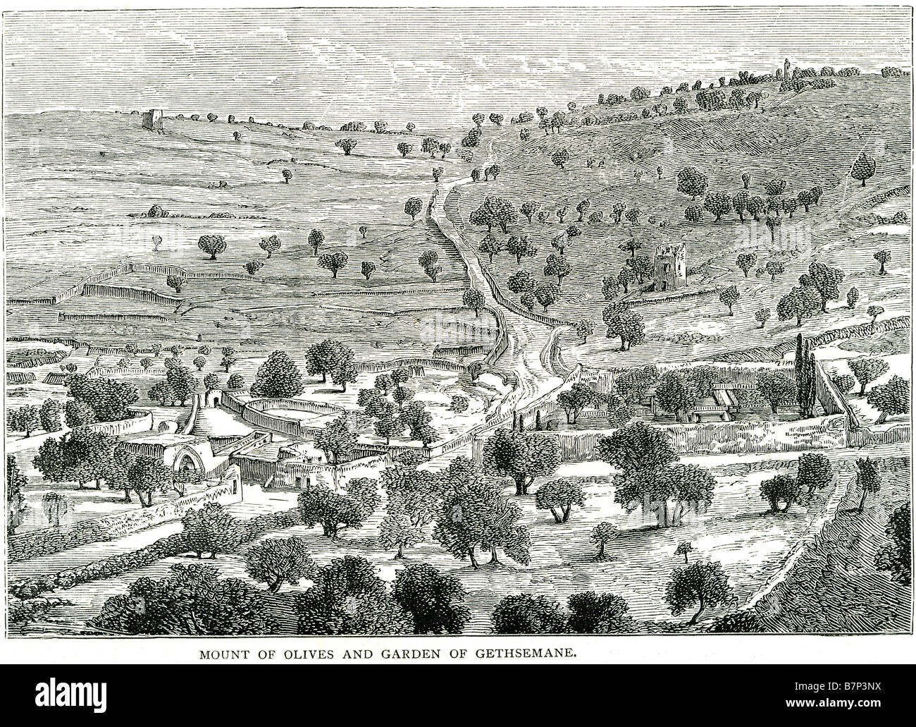 Mount Oliven Garten Getsemani Tal Landschaft Bäume Orchid Farm Dorf ...