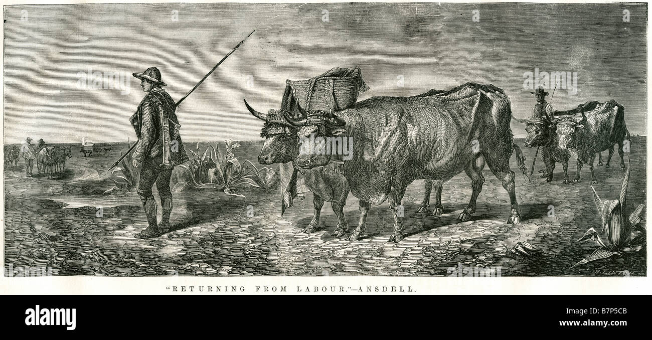 Ochsenjoch altertum -Fotos und -Bildmaterial in hoher Auflösung – Alamy