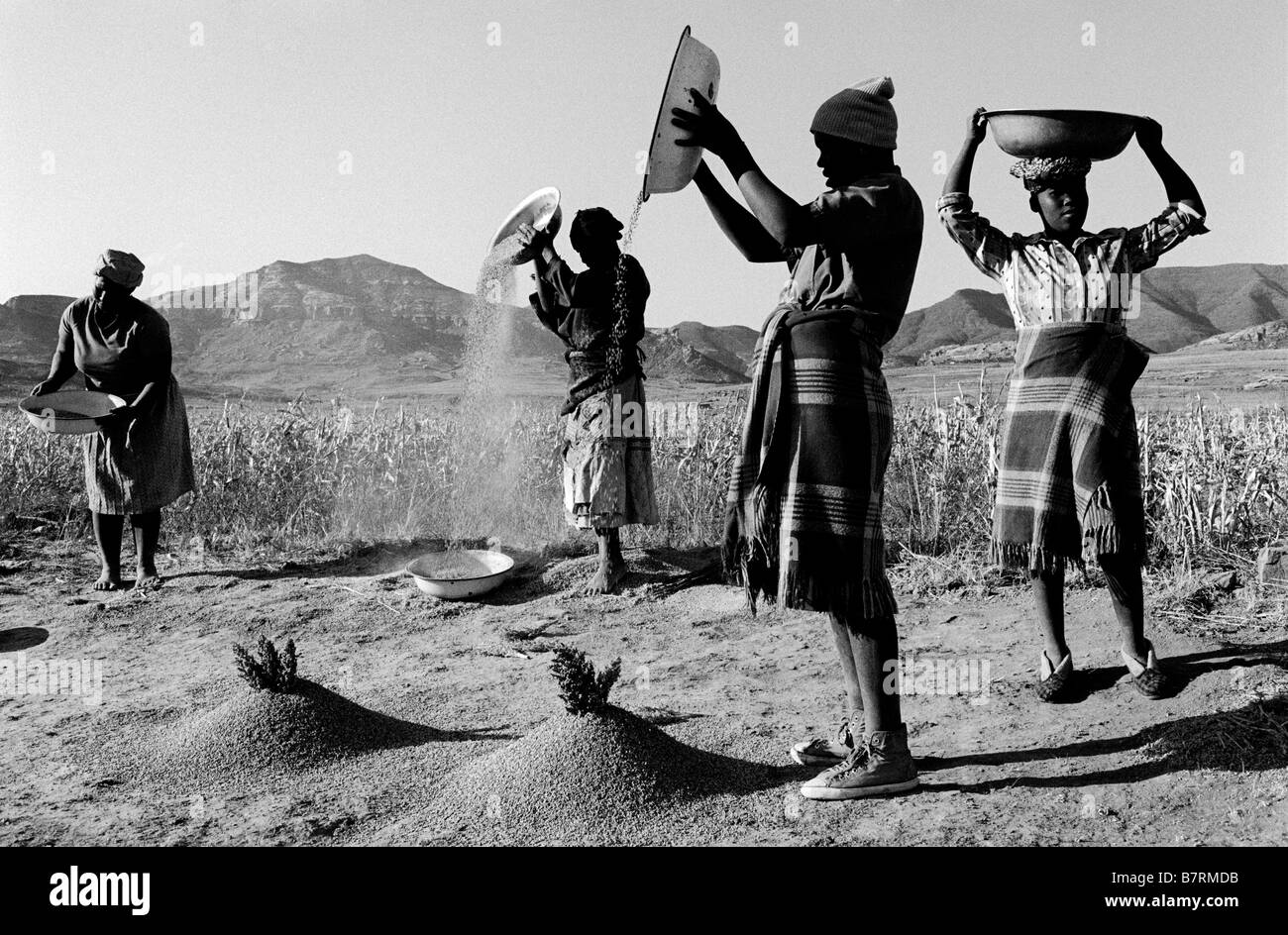 Schwarze landfrauen -Fotos und -Bildmaterial in hoher Auflösung – Alamy