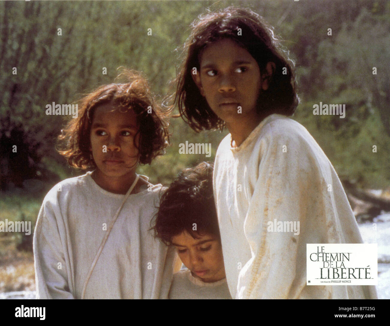 Rabbit proof fence -Fotos und -Bildmaterial in hoher Auflösung – Alamy