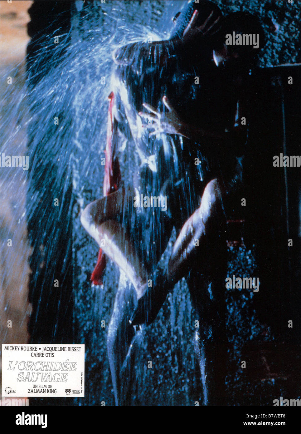 L'Orchidée sauvage Wild Orchid Jahr: 1990 USA Regie: Zalman King ...