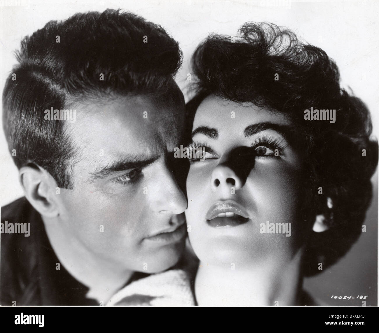 Montgomery clift portrait -Fotos und -Bildmaterial in hoher Auflösung ...