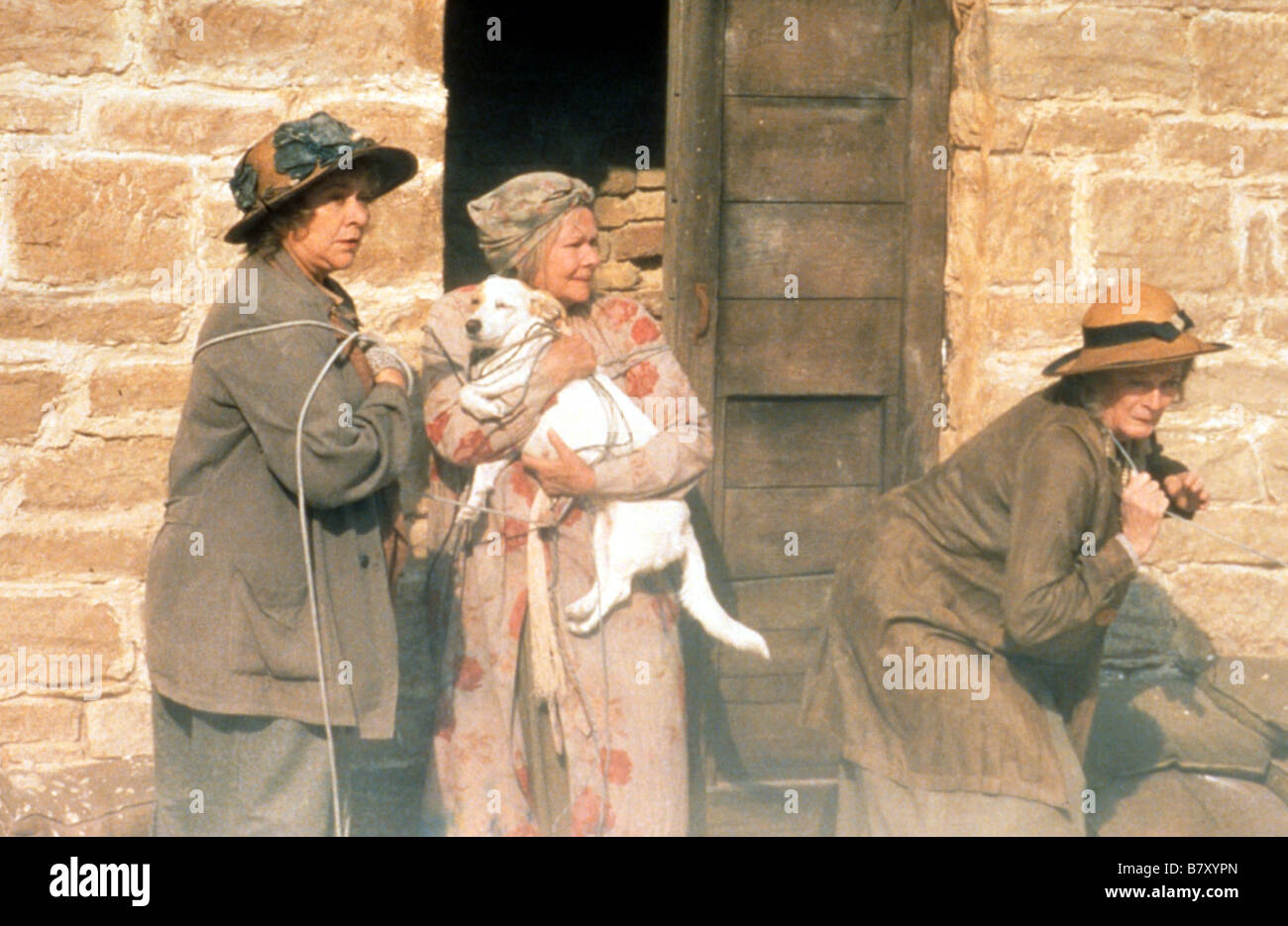 Tee mit Mussolini un te con Mussolini Jahr: 1999-uk Italien Joan ...