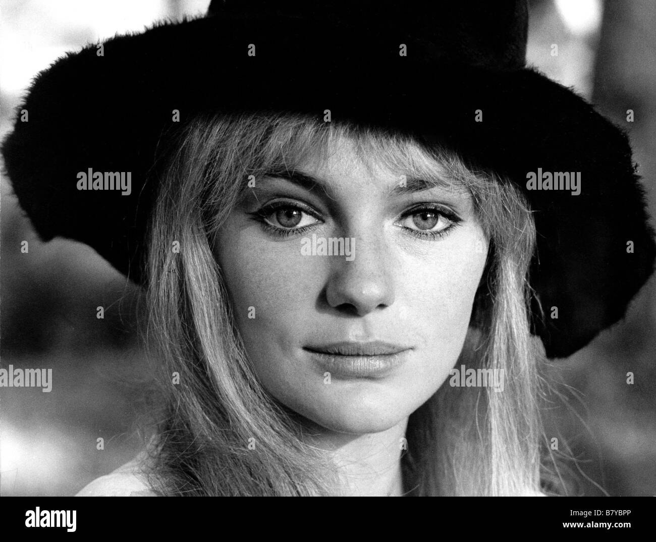 Jacqueline Bisset Jacqueline Bisset Jacqueline Bisset Stockfotografie ...