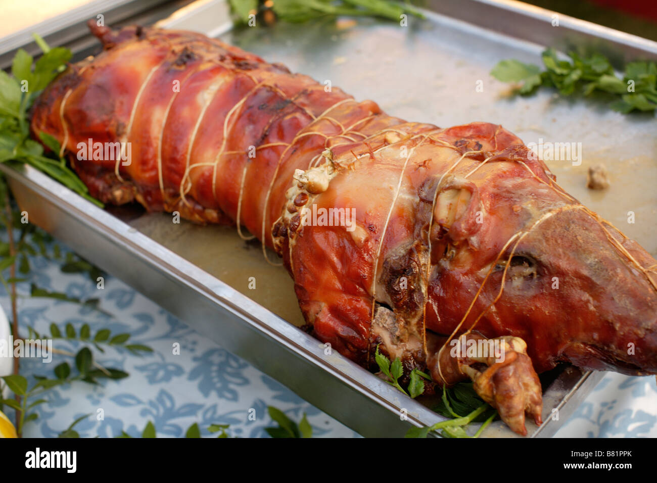Sucking pig grill -Fotos und -Bildmaterial in hoher Auflösung – Alamy