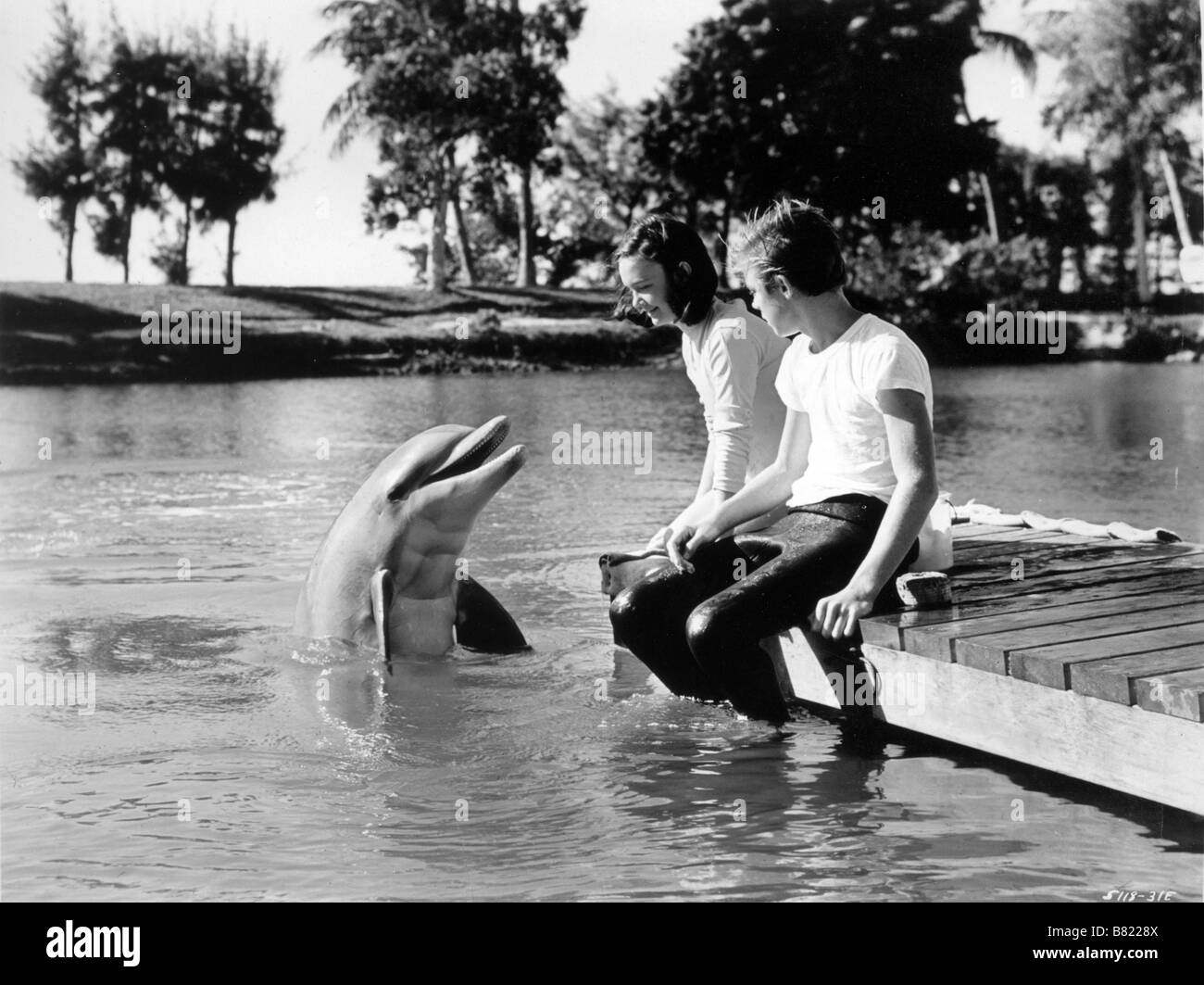 Flipper Delfin Schwarzweiß-Stockfotos und -bilder - Alamy