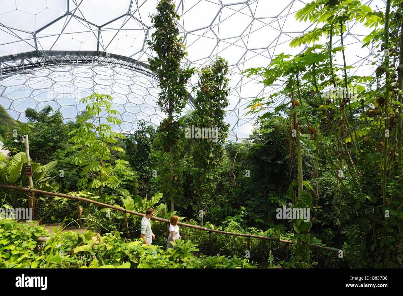 England cornwall eden project visitors -Fotos und -Bildmaterial in ...