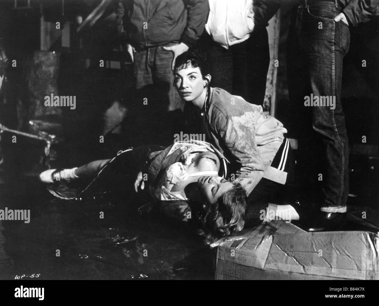 Ziva rodann -Fotos und -Bildmaterial in hoher Auflösung – Alamy