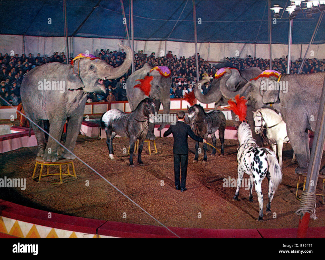 Circus world 1964 -Fotos und -Bildmaterial in hoher Auflösung – Alamy