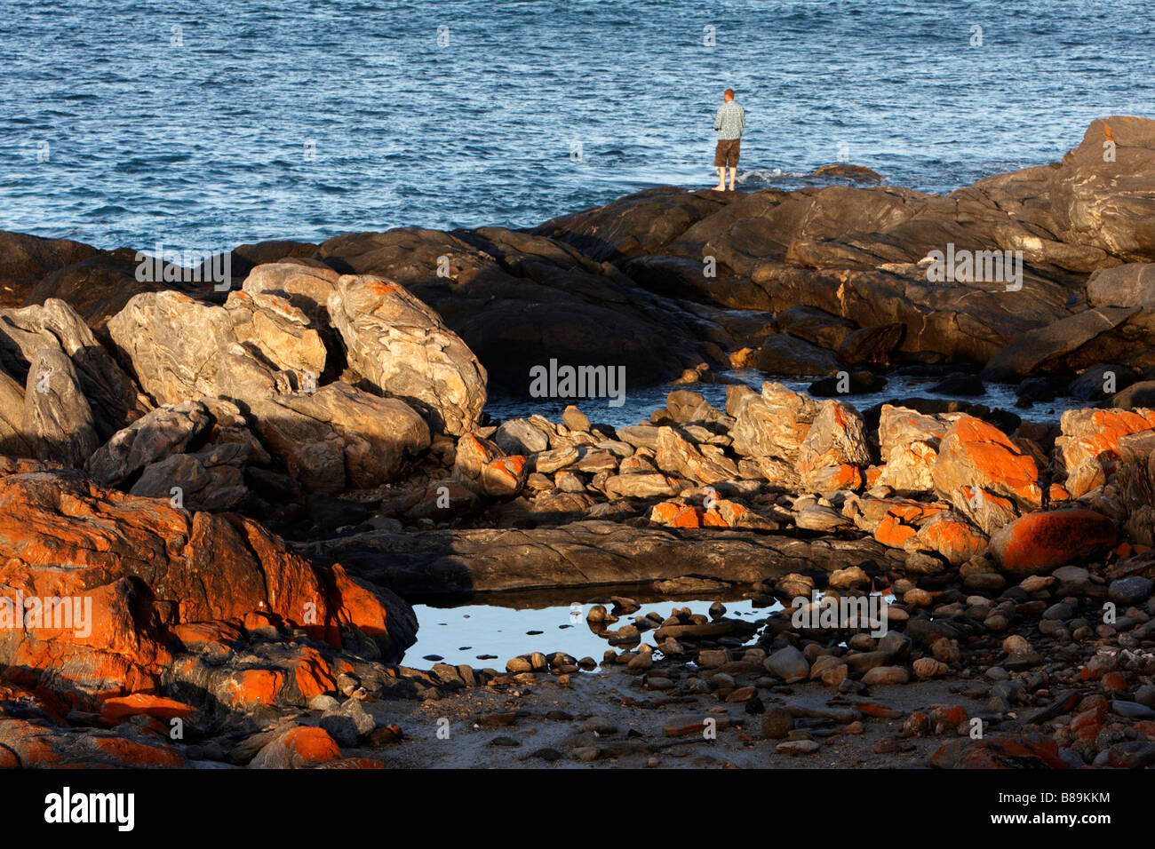 Kitschiger punkt -Fotos und -Bildmaterial in hoher Auflösung – Alamy