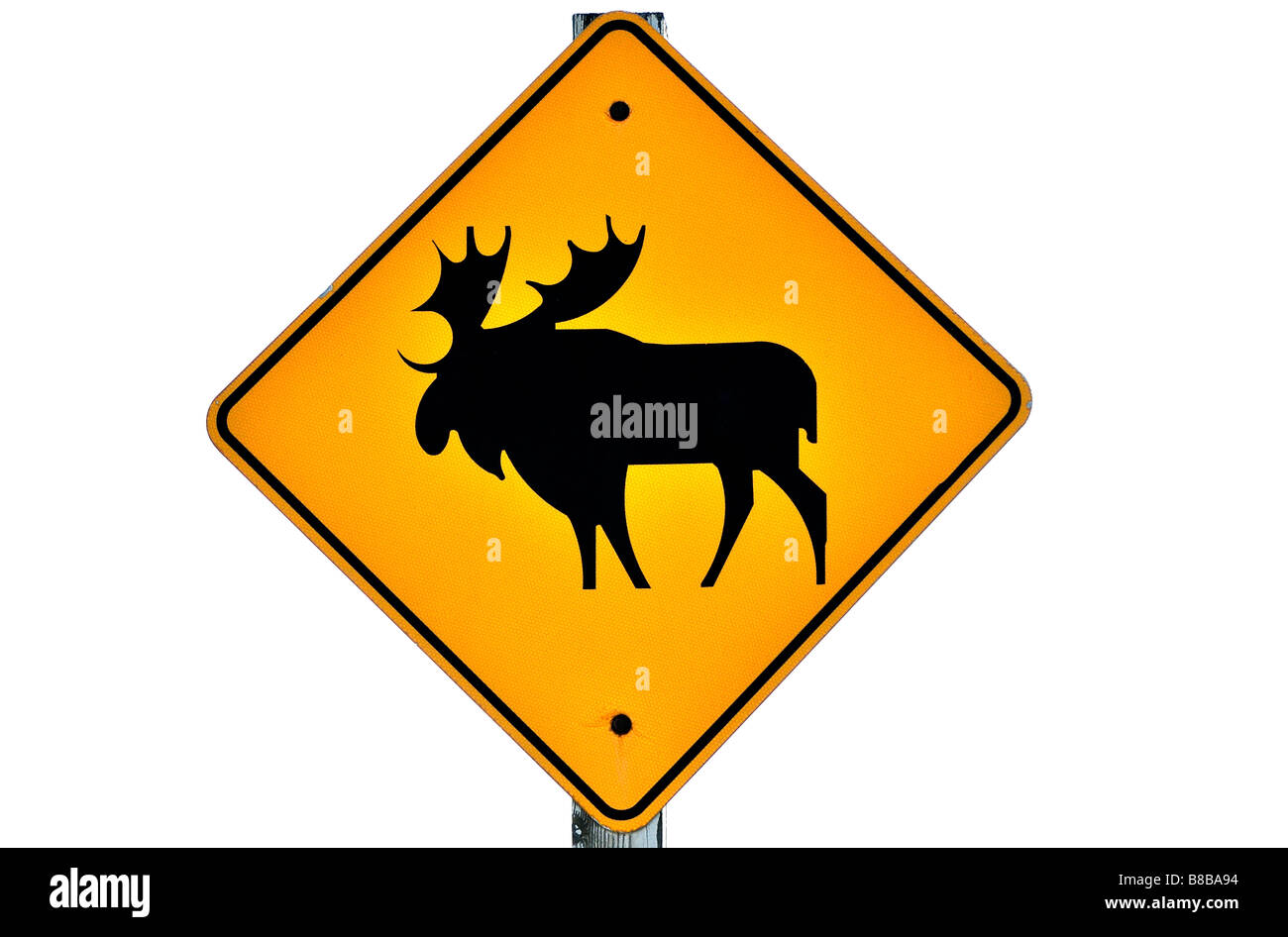 Elch warnung straßenschild -Fotos und -Bildmaterial in hoher Auflösung ...