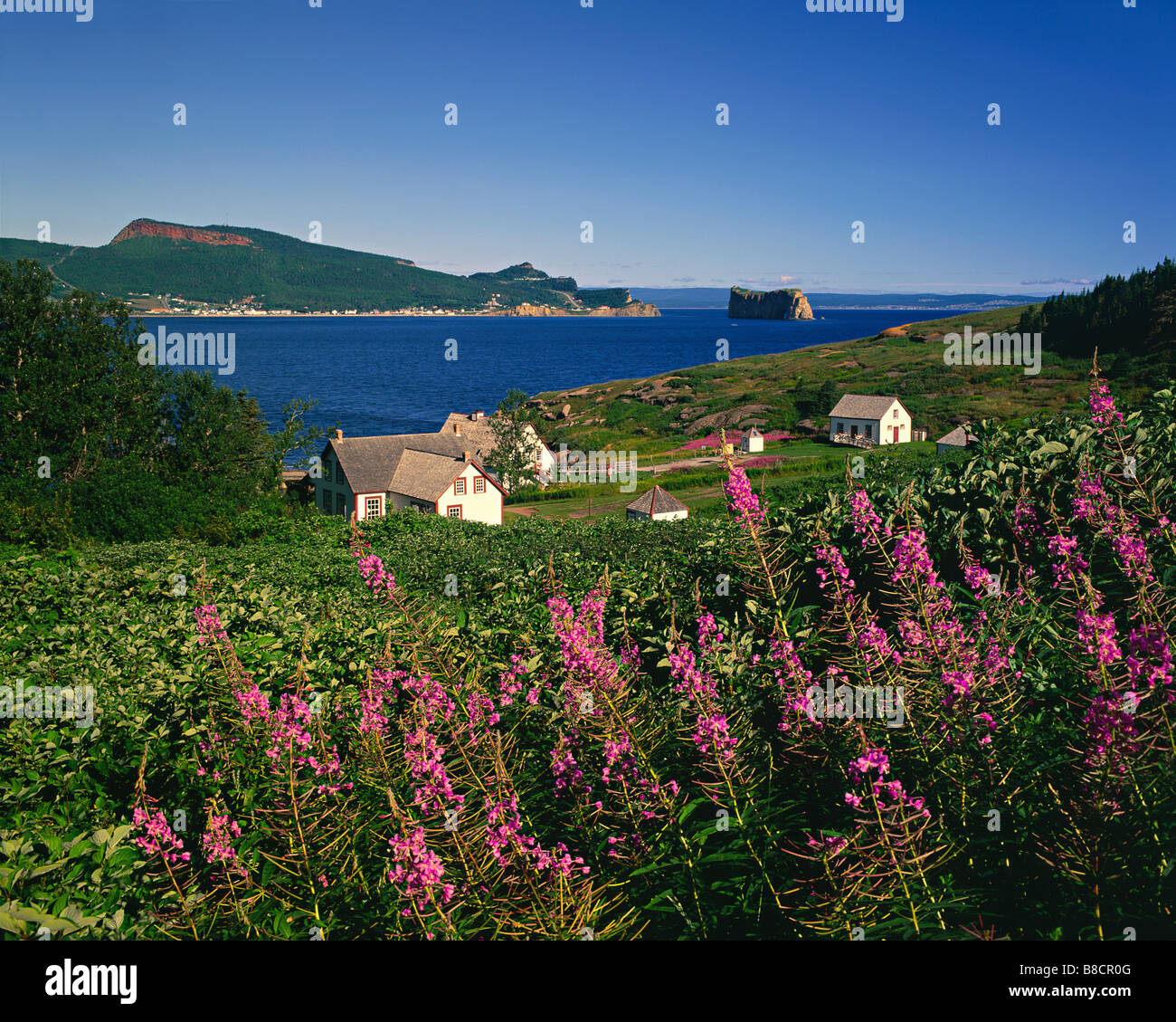 Parc national ile bonaventure -Fotos und -Bildmaterial in hoher ...