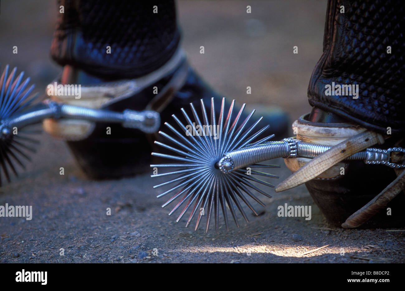 Mit sporen reiten -Fotos und -Bildmaterial in hoher Auflösung – Alamy
