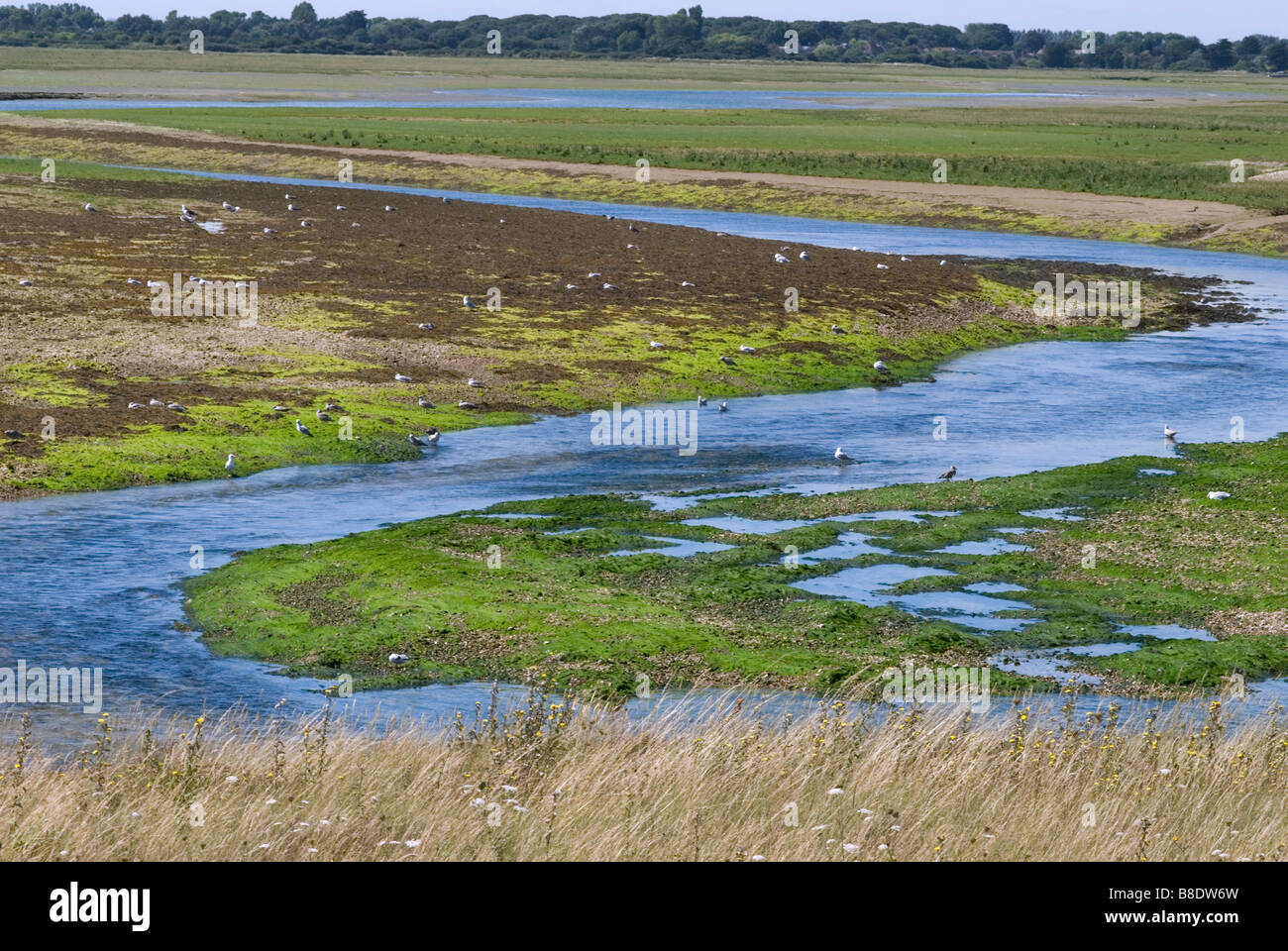 Mäander fluss -Fotos und -Bildmaterial in hoher Auflösung - Seite 2 - Alamy