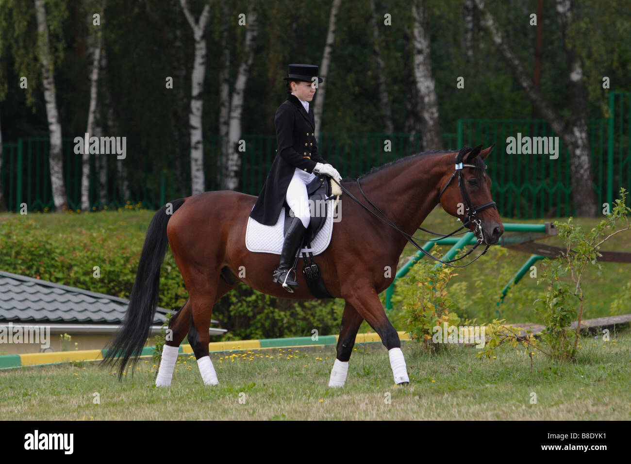 Reiter pferd seitlich -Fotos und -Bildmaterial in hoher Auflösung – Alamy