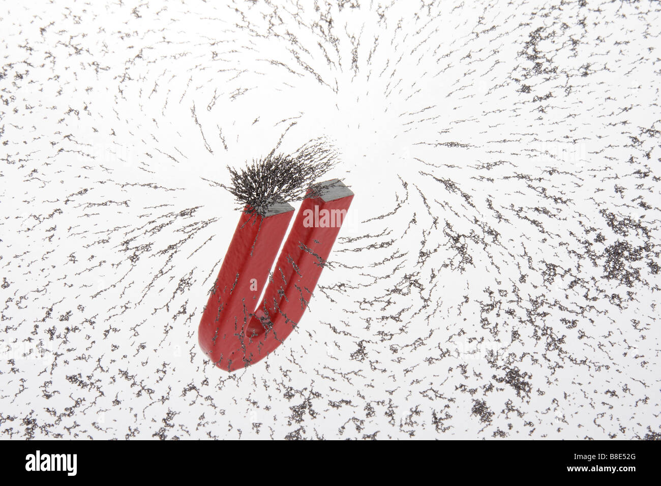 Eisen Ablage Partikel magnetisiert durch Hufeisen-magnet ...