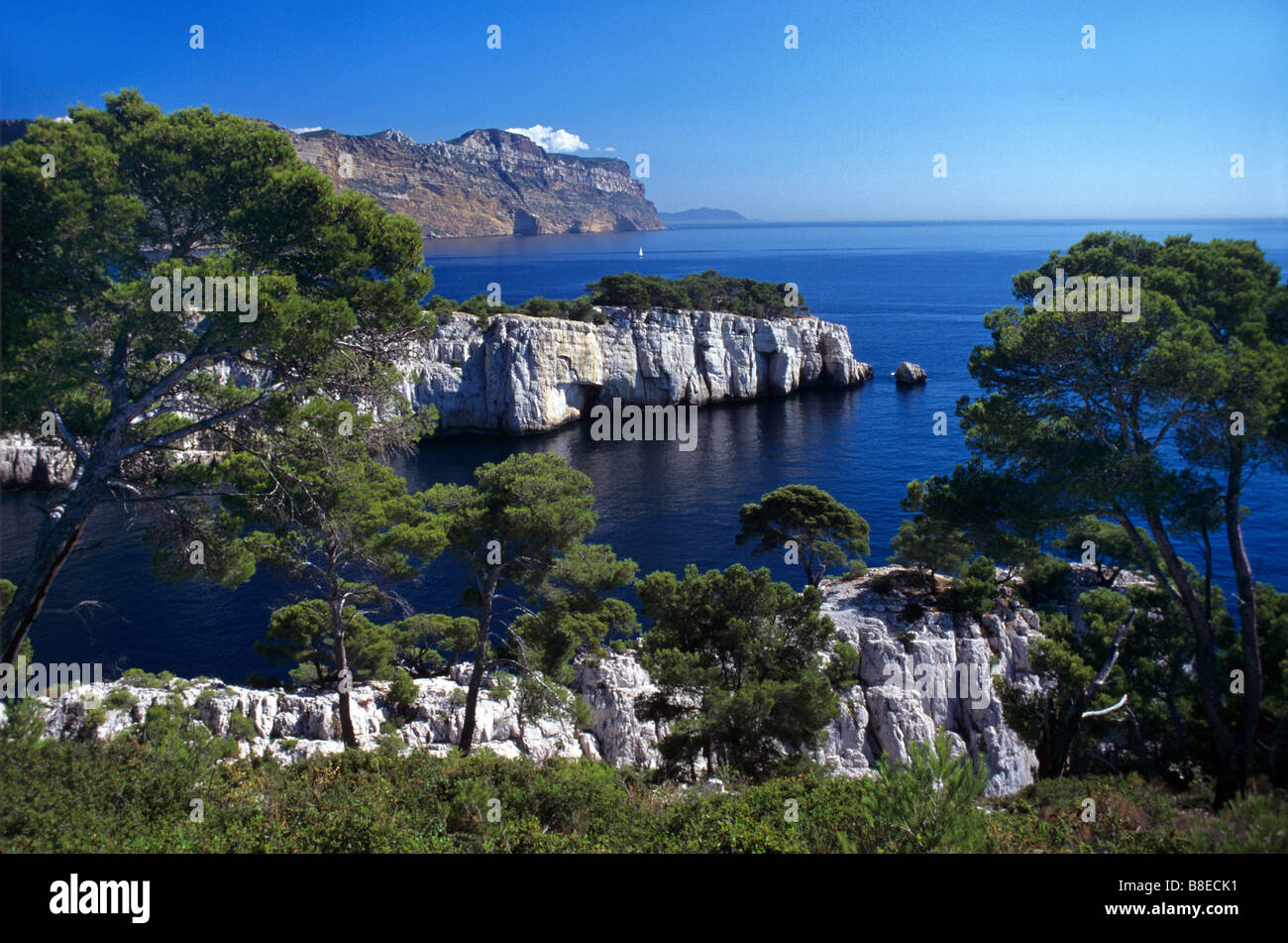 Calanque de Port-Pin oder Port-Pin, Pinien, Cap Canaille Klippen ...