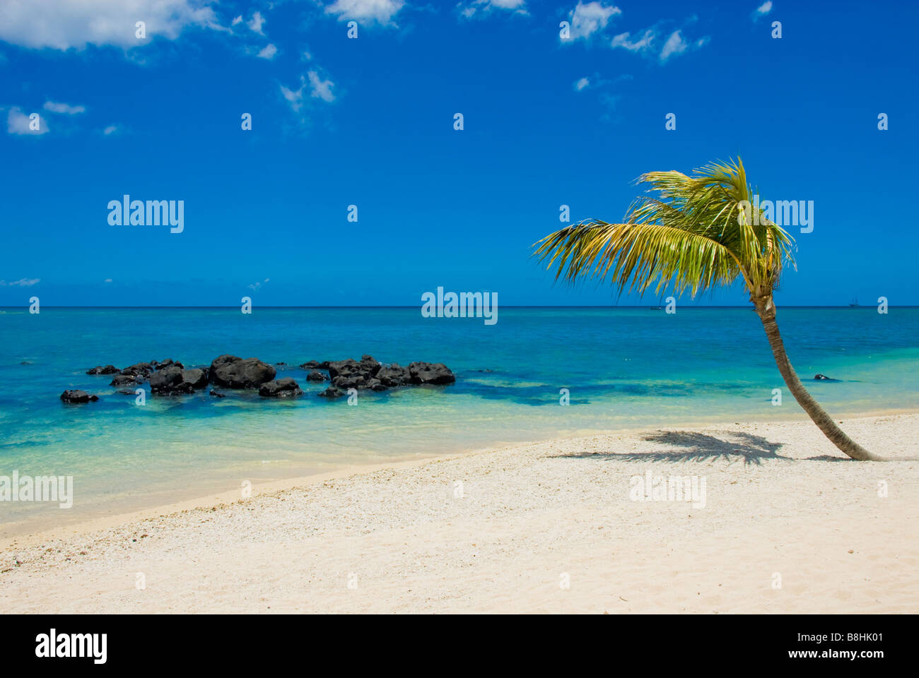 Mauritius island beach snorkeling -Fotos und -Bildmaterial in hoher ...