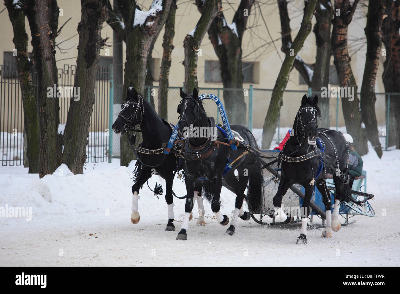 Troika in snow russia -Fotos und -Bildmaterial in hoher Auflösung – Alamy