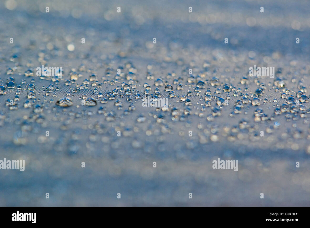Tau nass -Fotos und -Bildmaterial in hoher Auflösung – Alamy