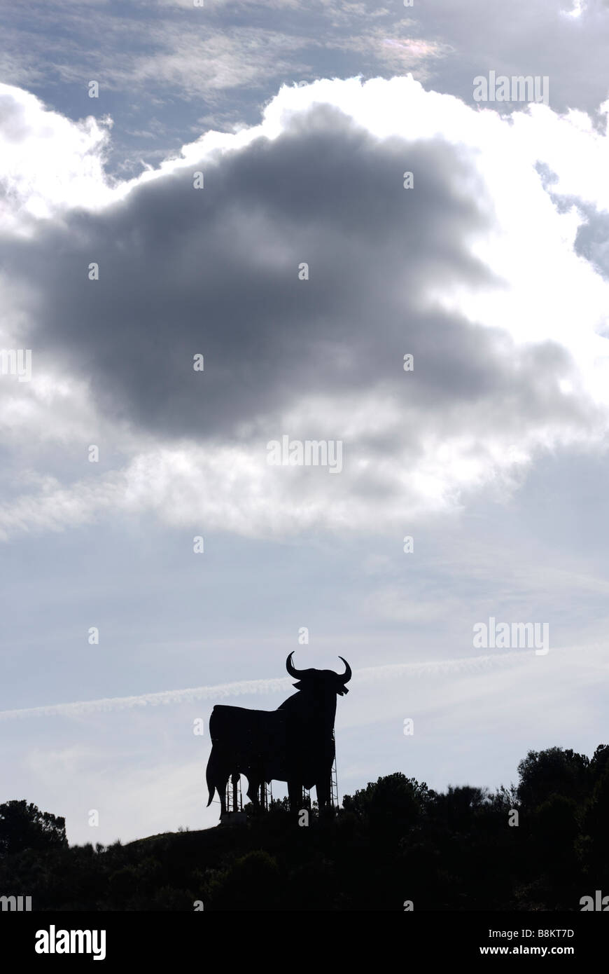 Osborne stier -Fotos und -Bildmaterial in hoher Auflösung - Seite 2 - Alamy
