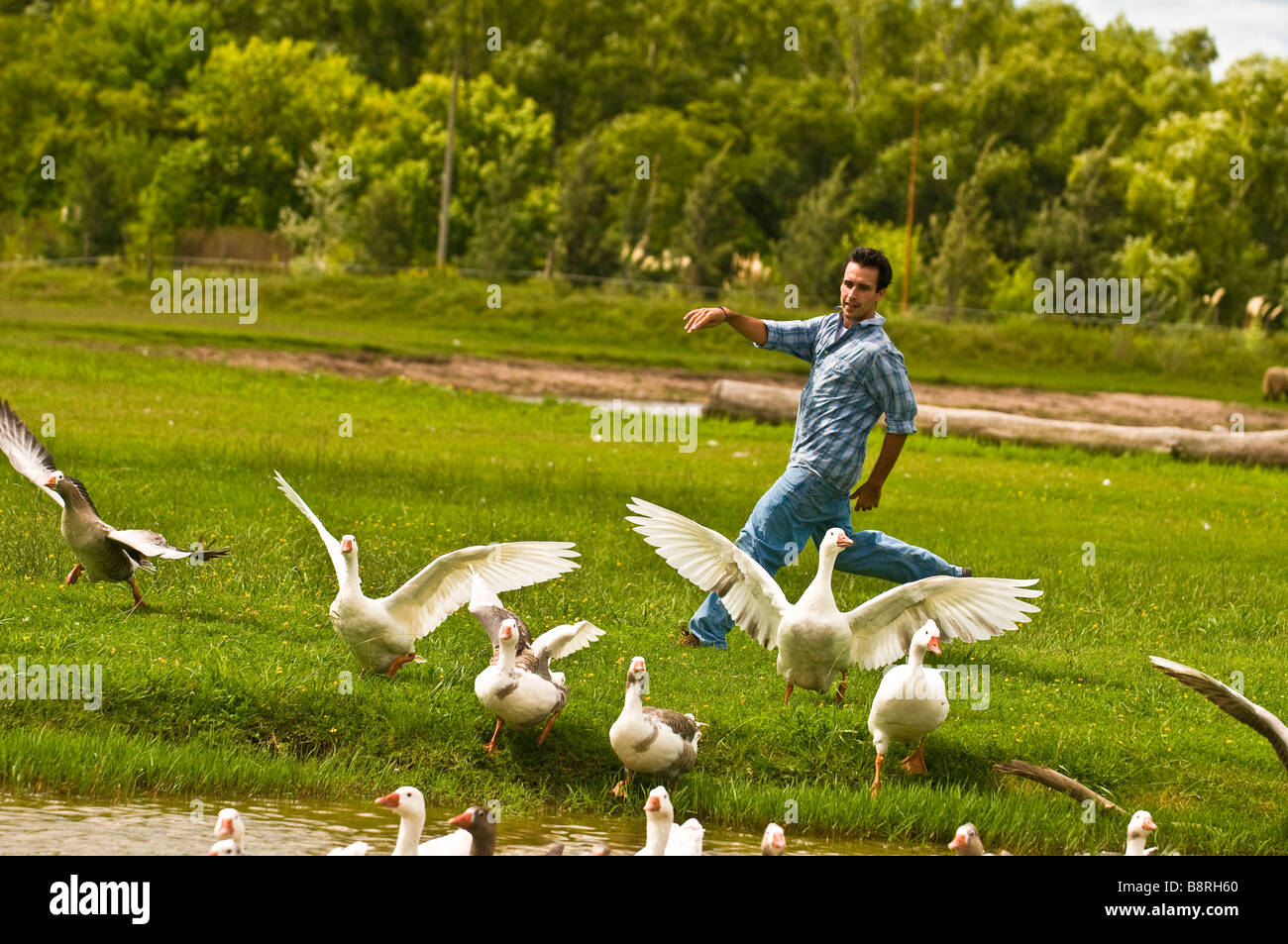 Estancia ranch -Fotos und -Bildmaterial in hoher Auflösung – Alamy