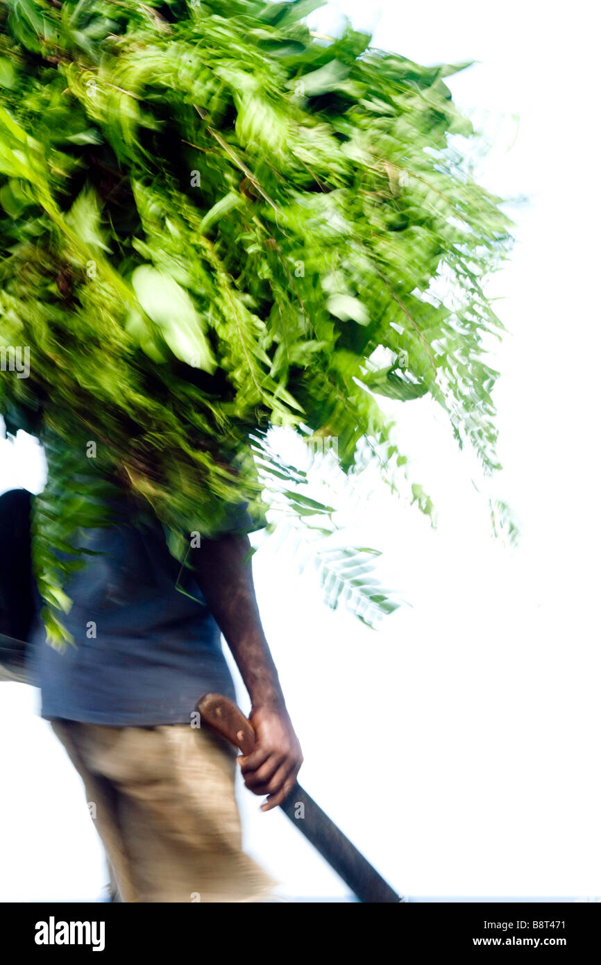 Machete tragen -Fotos und -Bildmaterial in hoher Auflösung – Alamy