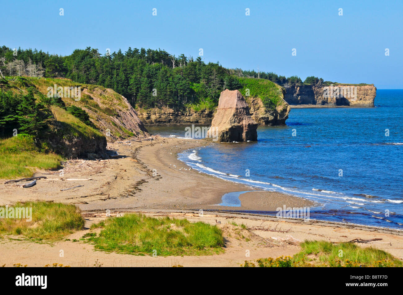 Pokeshaw park new brunswick -Fotos und -Bildmaterial in hoher Auflösung ...