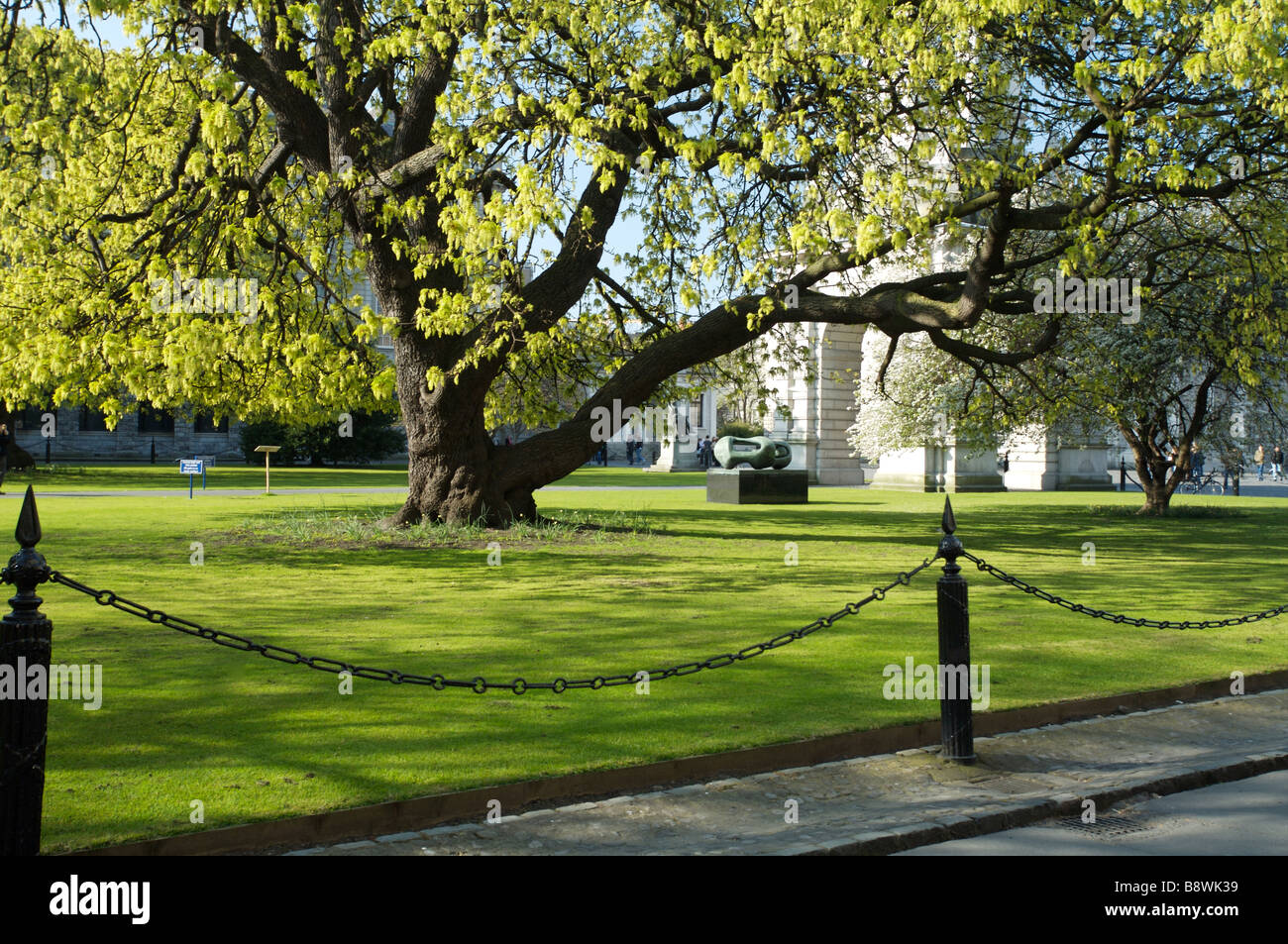 Trinity college dublin rfc -Fotos und -Bildmaterial in hoher Auflösung ...