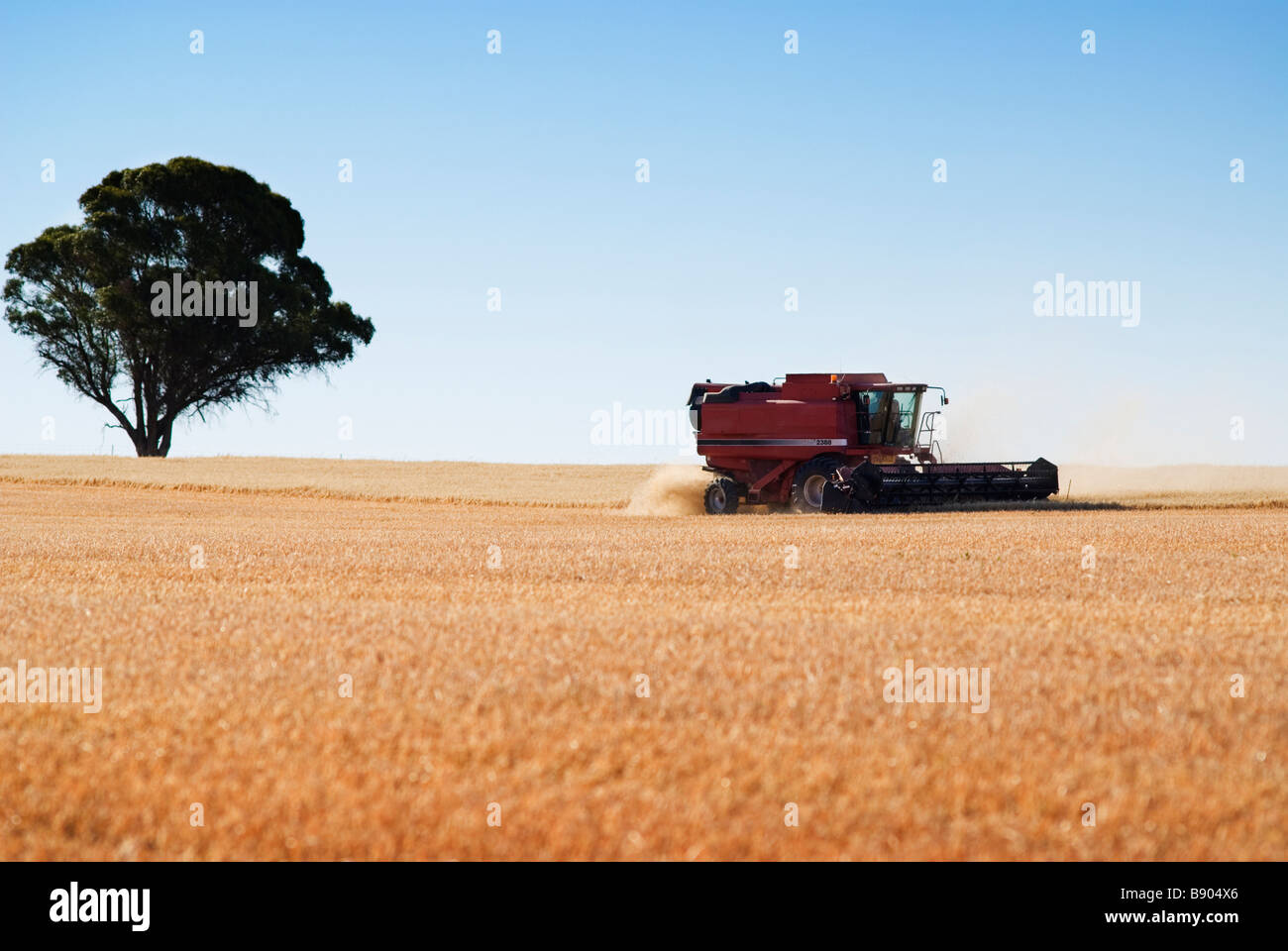 Hafer Ernten Stockfotos und -bilder Kaufen - Alamy