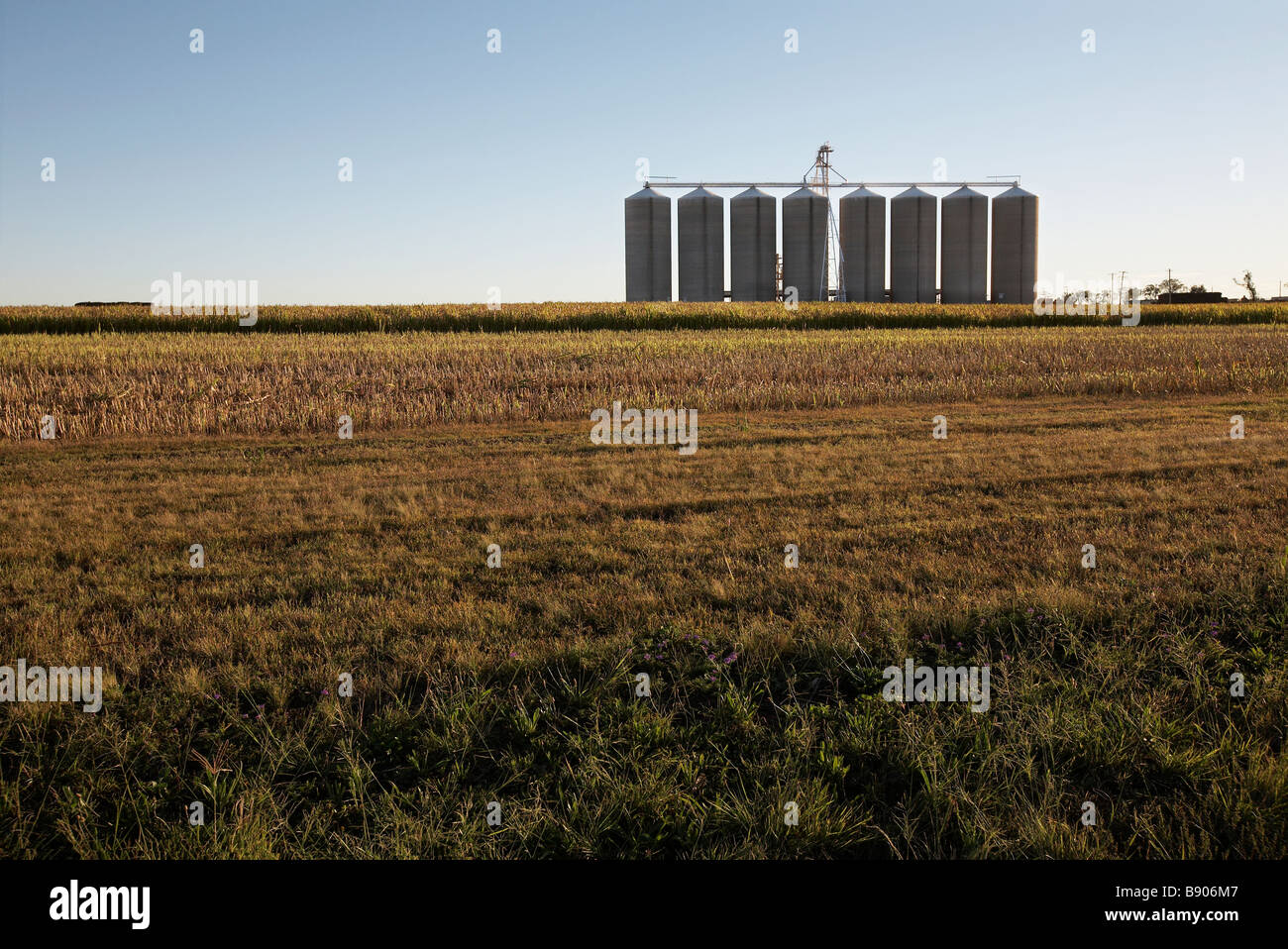 Grain silo -Fotos und -Bildmaterial in hoher Auflösung – Alamy