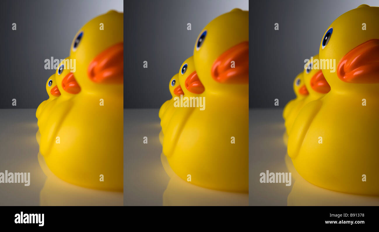 Yellow plastic duck -Fotos und -Bildmaterial in hoher Auflösung – Alamy