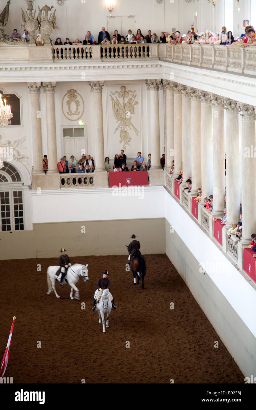 Die spanische reitschule -Fotos und -Bildmaterial in hoher Auflösung ...