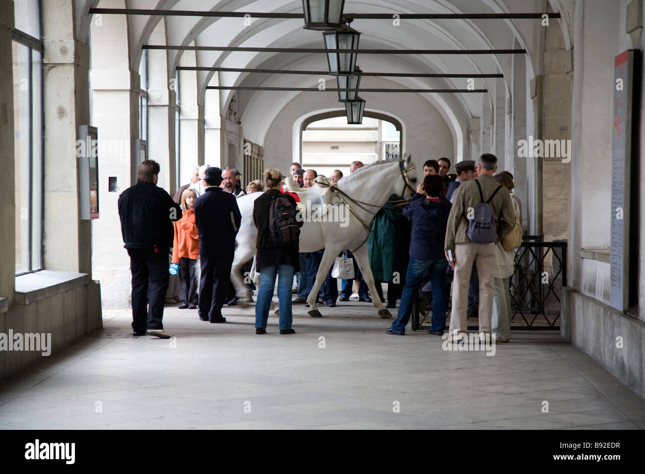 Pferde als Spitze in Leistung beim Spanish Riding School Spanische ...