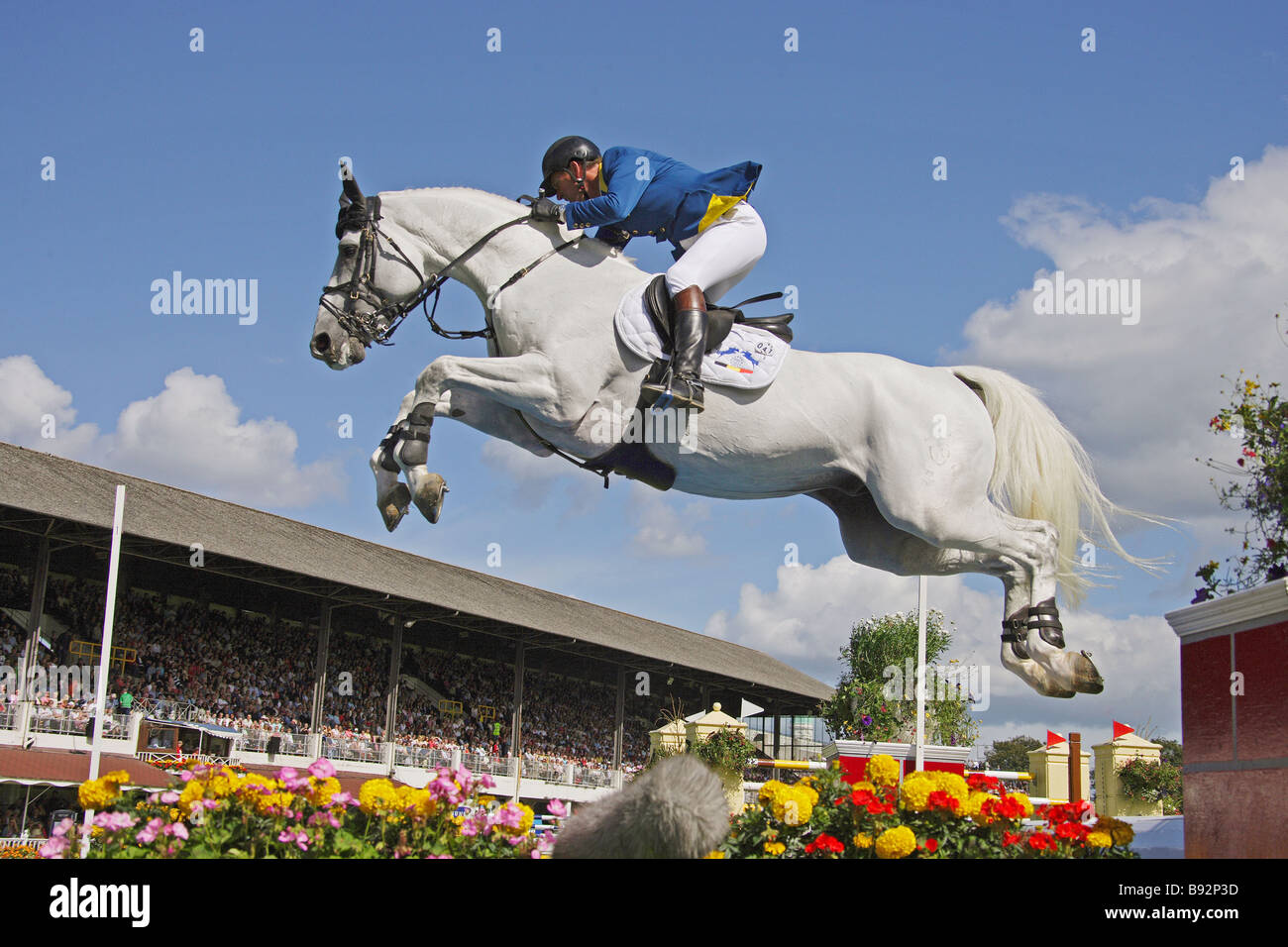 Pferde pferde springt springen -Fotos und -Bildmaterial in hoher ...