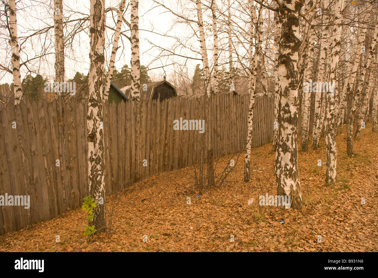 Russische datscha -Fotos und -Bildmaterial in hoher Auflösung – Alamy
