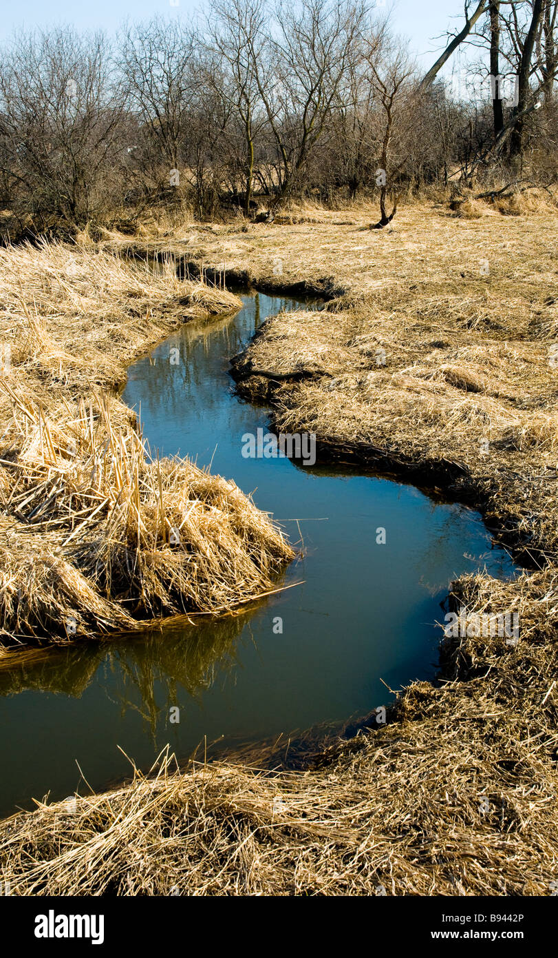 Wetland creek -Fotos und -Bildmaterial in hoher Auflösung – Alamy