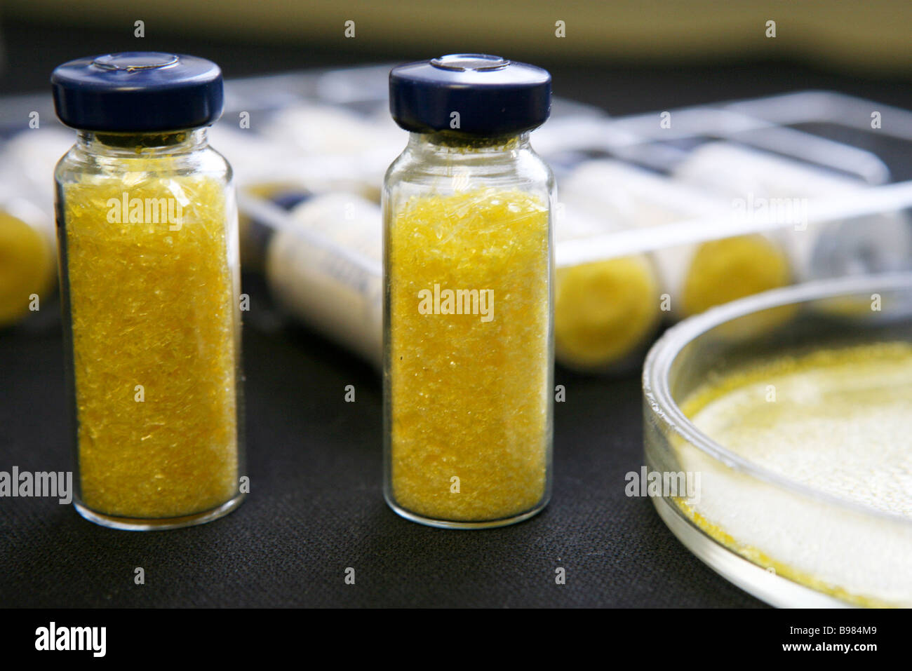 ASP Venom s gelbe Kristalle von der sibirischen Ophidiarium-Firma ...