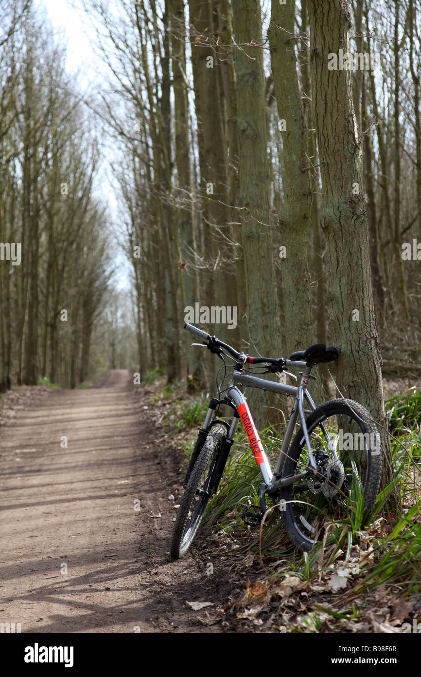 Rad im wald Stockfotos und -bilder Kaufen - Alamy