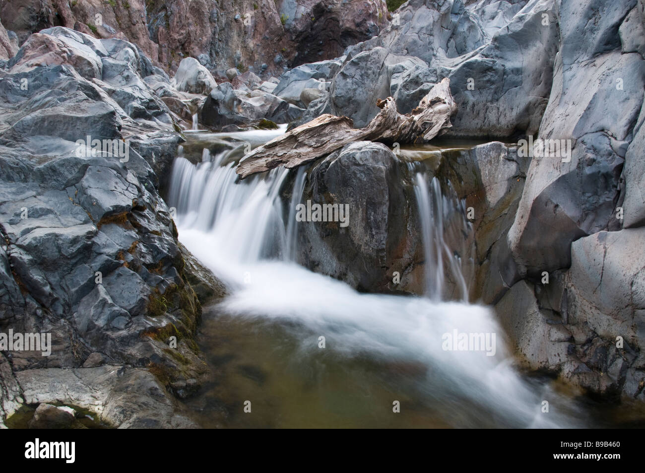 Siete tazas -Fotos und -Bildmaterial in hoher Auflösung – Alamy
