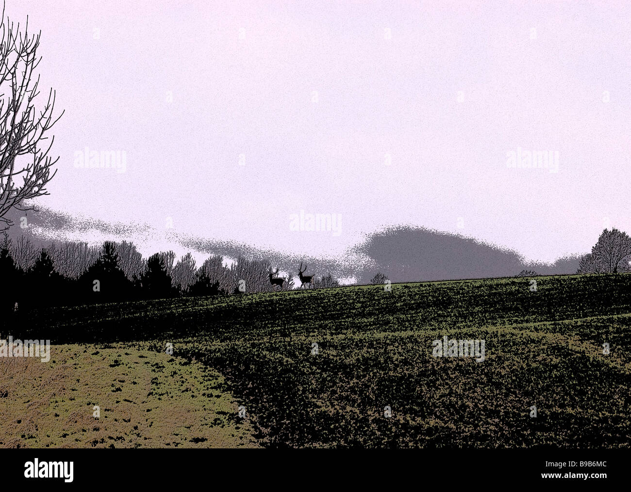 Silhouette hirsch hirsch am hang -Fotos und -Bildmaterial in hoher ...