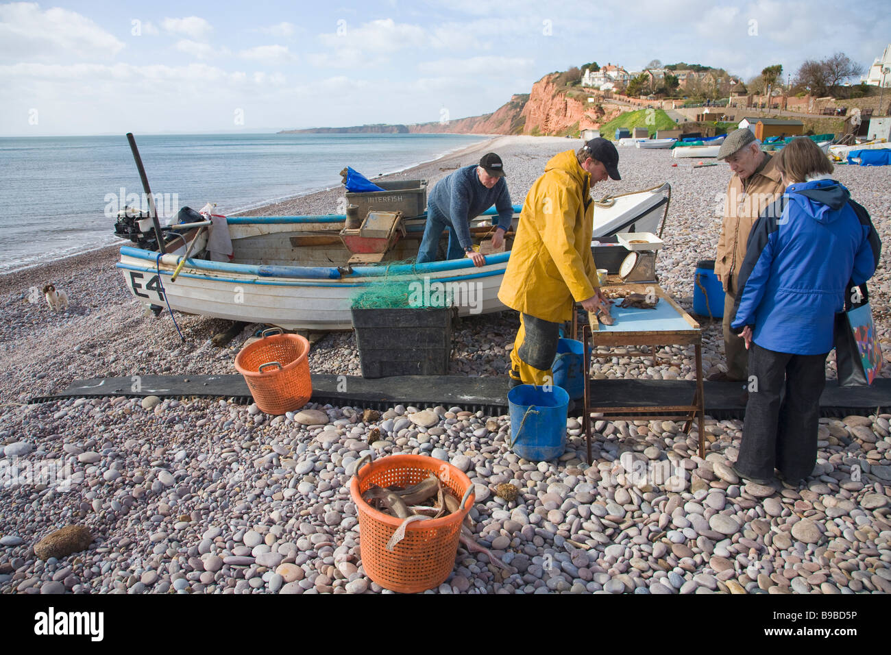 Fischer, der fisch verkauft -Fotos und -Bildmaterial in hoher Auflösung ...