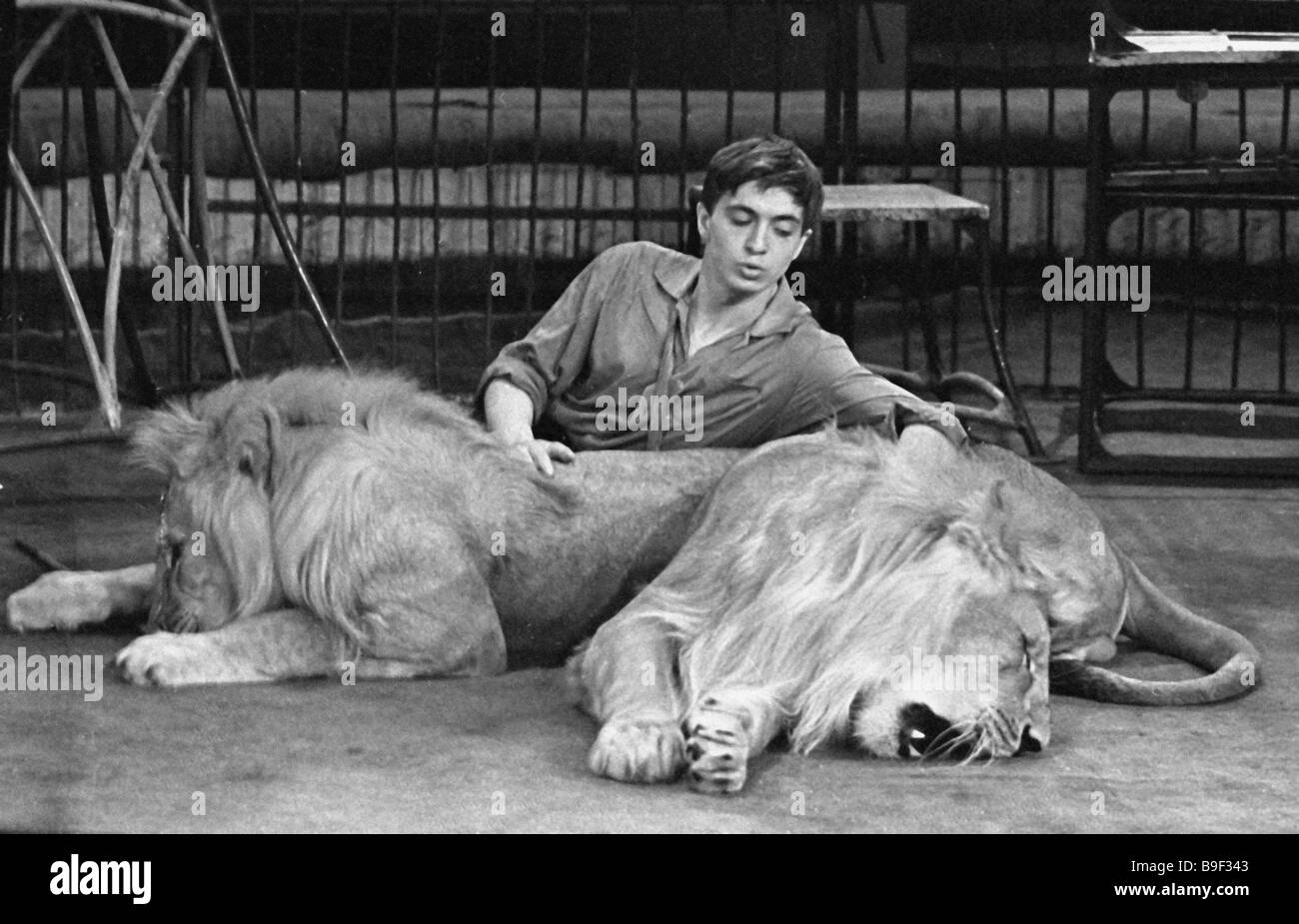 Lion tamer Boris Denisov Proben eine Performance mit gezähmten Löwen ...