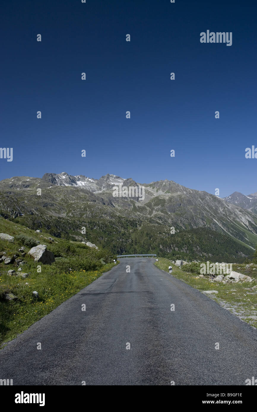 Albula albula pass -Fotos und -Bildmaterial in hoher Auflösung – Alamy