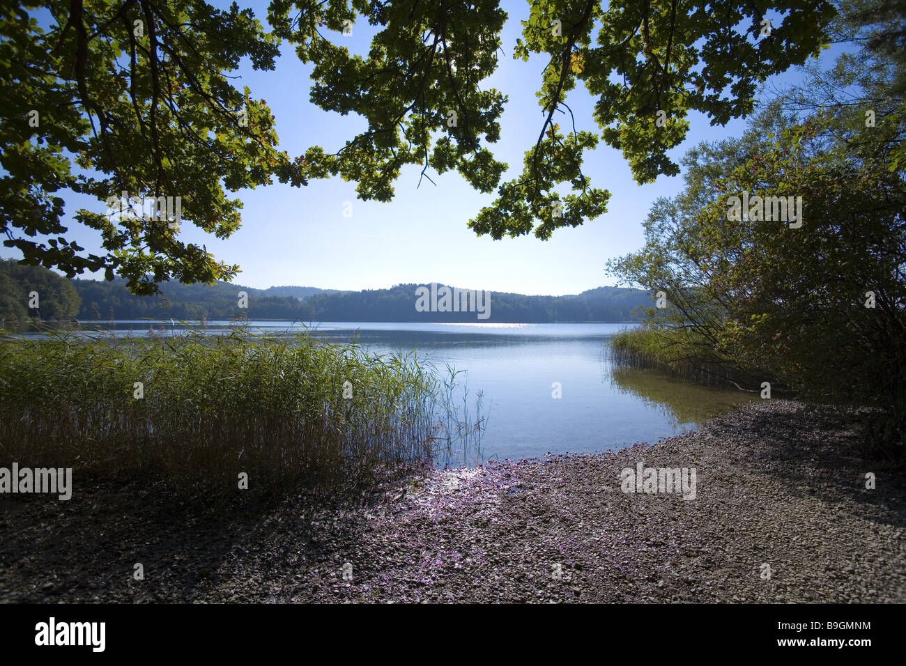 Seehamer see -Fotos und -Bildmaterial in hoher Auflösung – Alamy