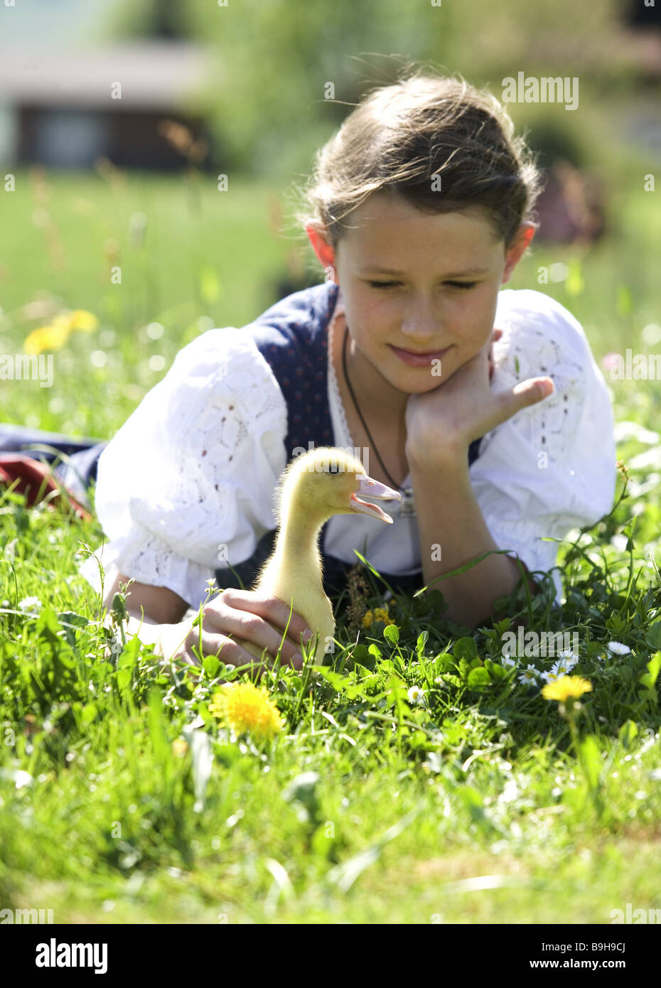 Mädchen Wiese Entenküken Lüge streichelt 13 Jahre außen Bauernhof Blume ...