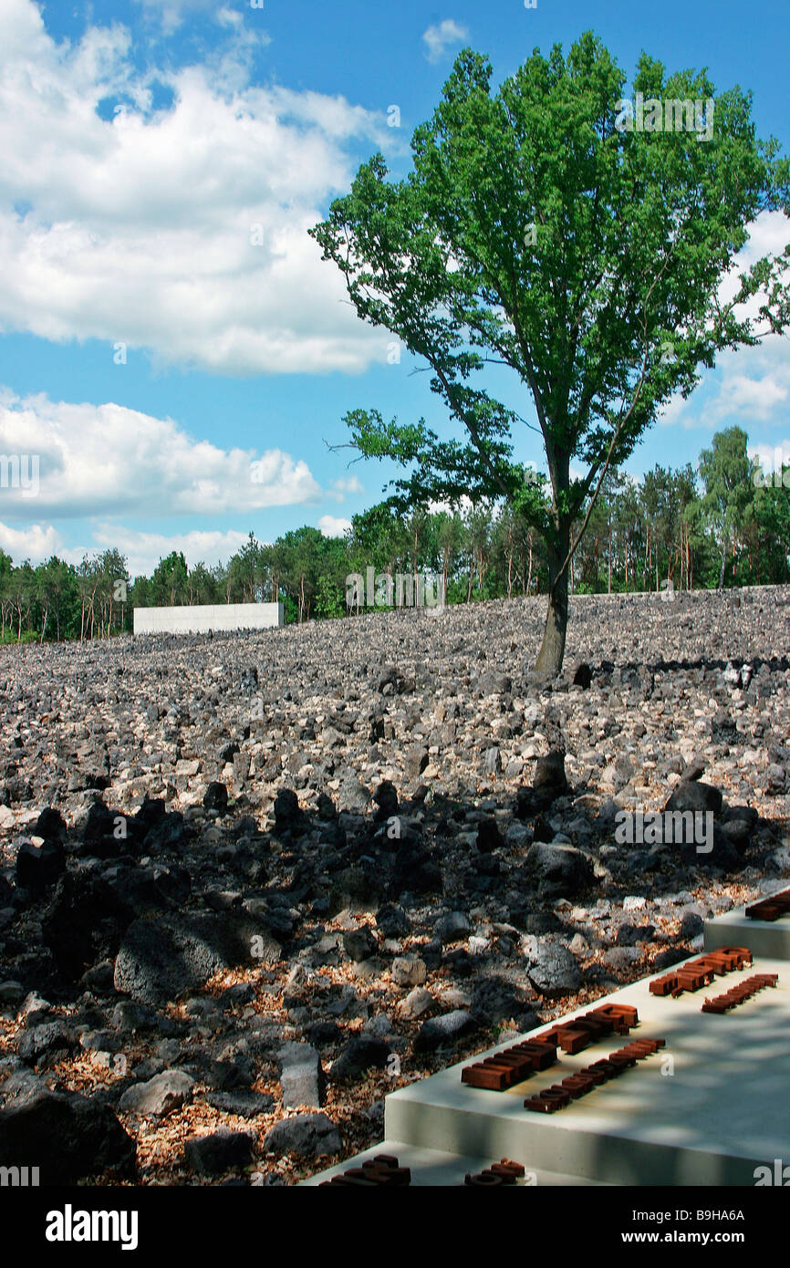 Rudolf reder und chaim hirszman -Fotos und -Bildmaterial in hoher ...