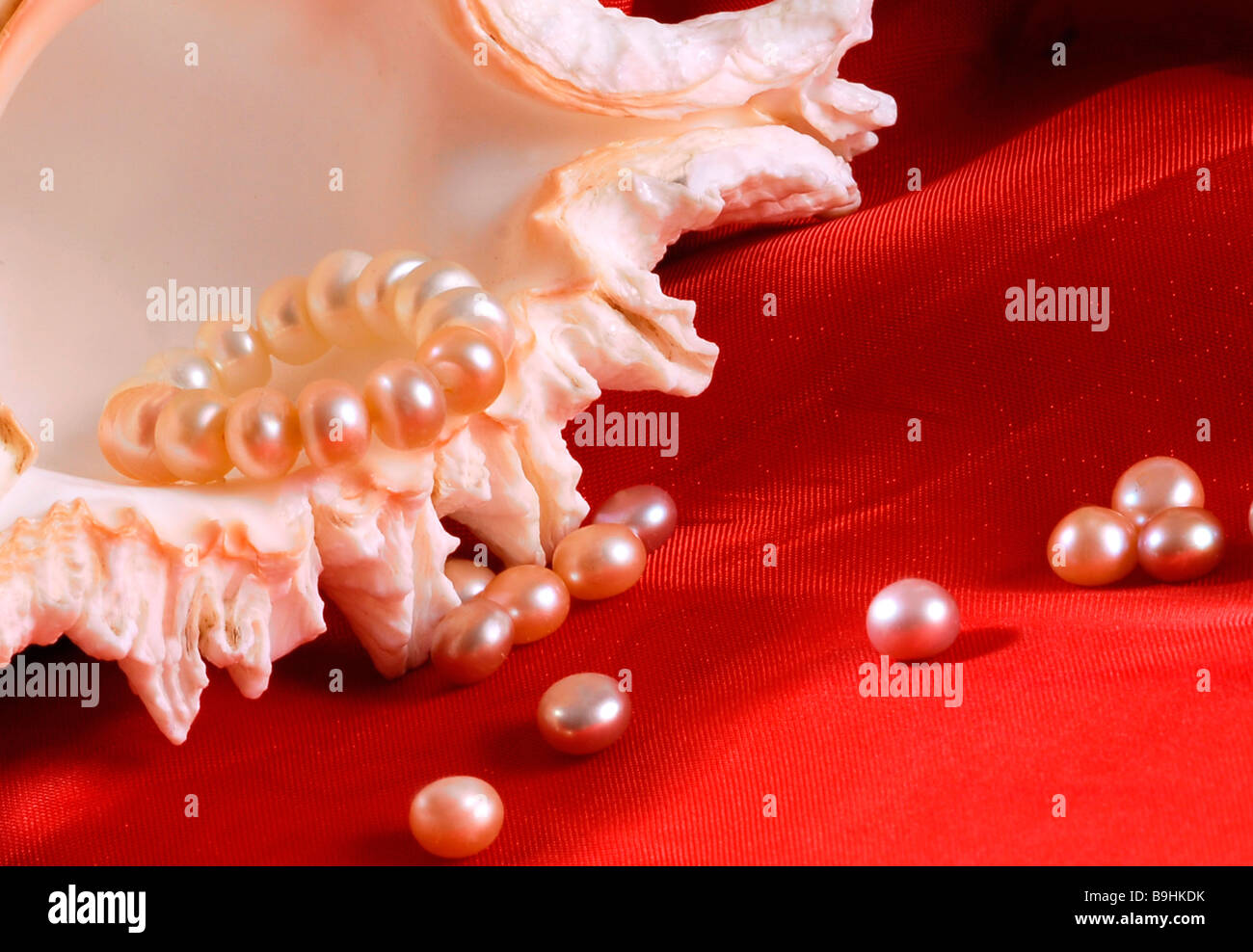 Muscheln armband -Fotos und -Bildmaterial in hoher Auflösung – Alamy